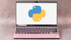 25 Best Online Python Courses to Learn in 2021 | Gain From Here